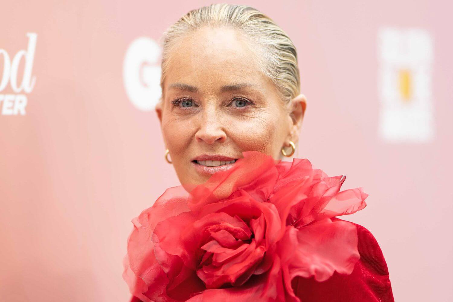 Sharon Stone: "Ho una disabilità. Ho bisogno di otto ore di sonno ...